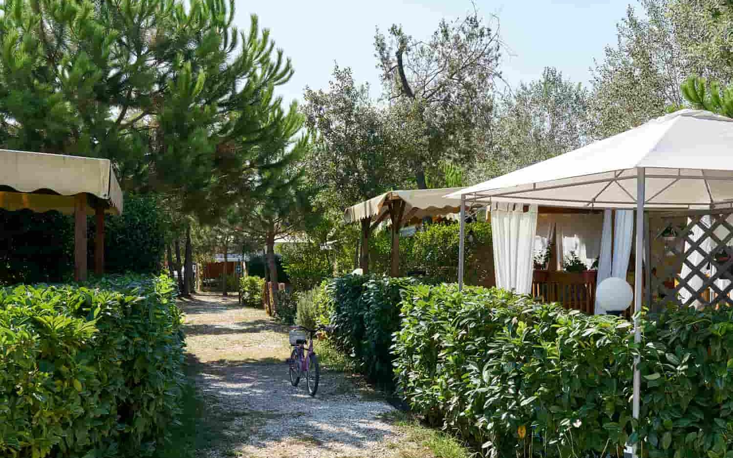 Camping Paradiso - Toscana, Viareggio (LU). Offerta Lidl Viaggi - Mare